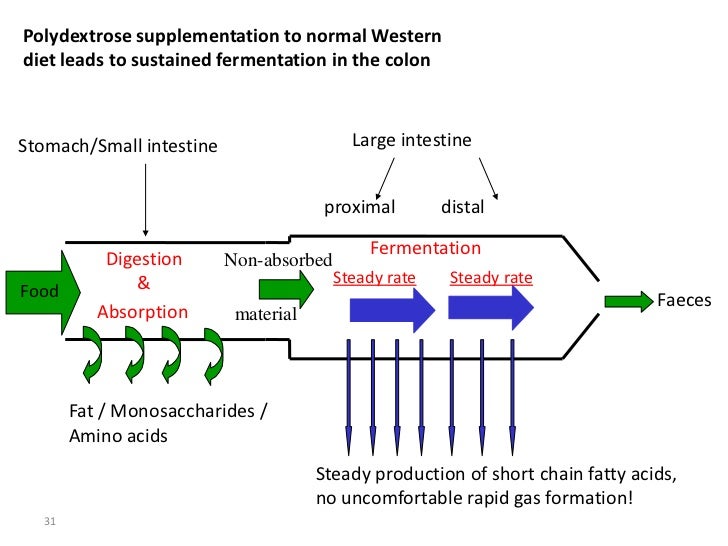 Scientific Validation Of Polydextrose As A Fibre And
