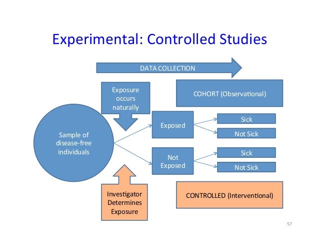 Principles of Scientific Writing for an International Audience