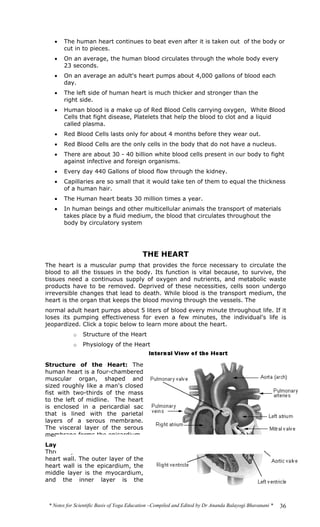 Structure Of The Heart Worksheet Biology If8765