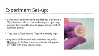 Scientists Regrow Frog’s Lost Leg.pptx