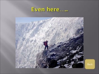 Scientists stereotypes | PPT