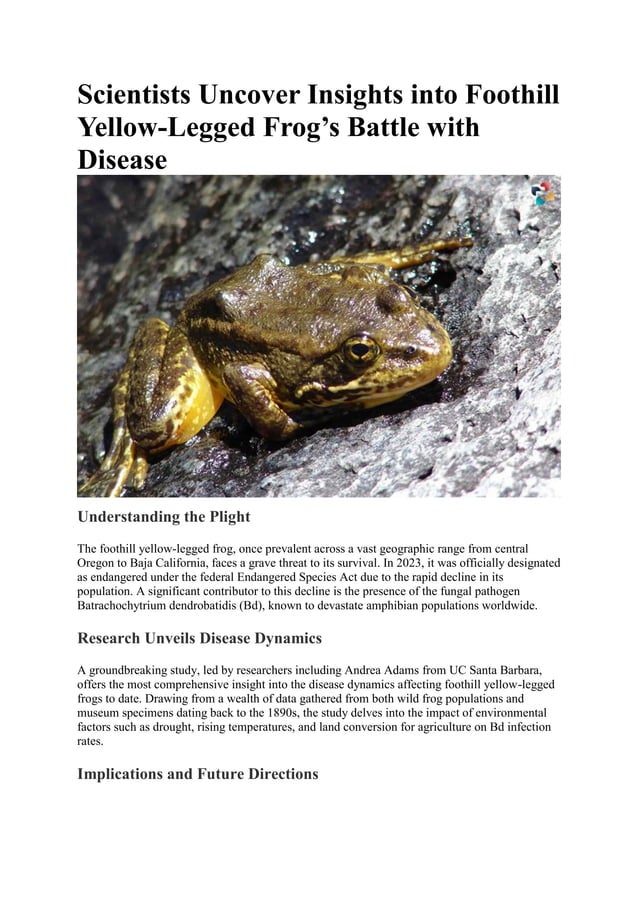 Foothill Yellow-Legged Frog: Research Reveals Threats and Strategies ...