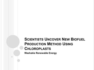 Scientists Uncover New Biofuel Production Method Using Chloroplasts | PPT