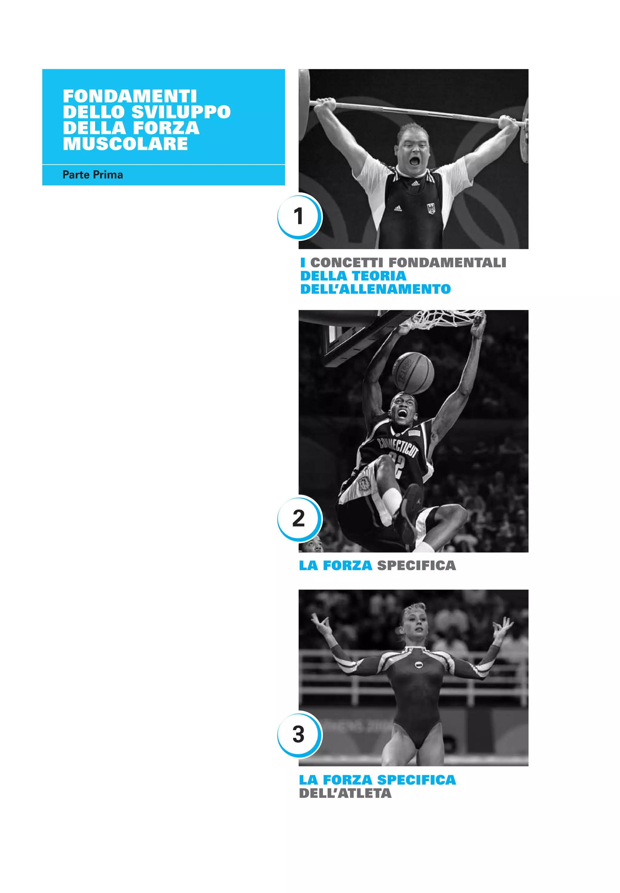 Scienza e pratica dell'allenamento della forza | PDF