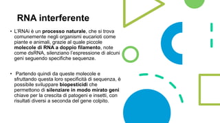 scienze.pptx | Biotech and Biomedical Industry | Industries