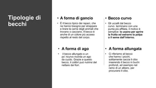 PowerPoint di uno studente di liceo.pptx