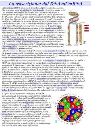 La trascrizione del dna | PDF