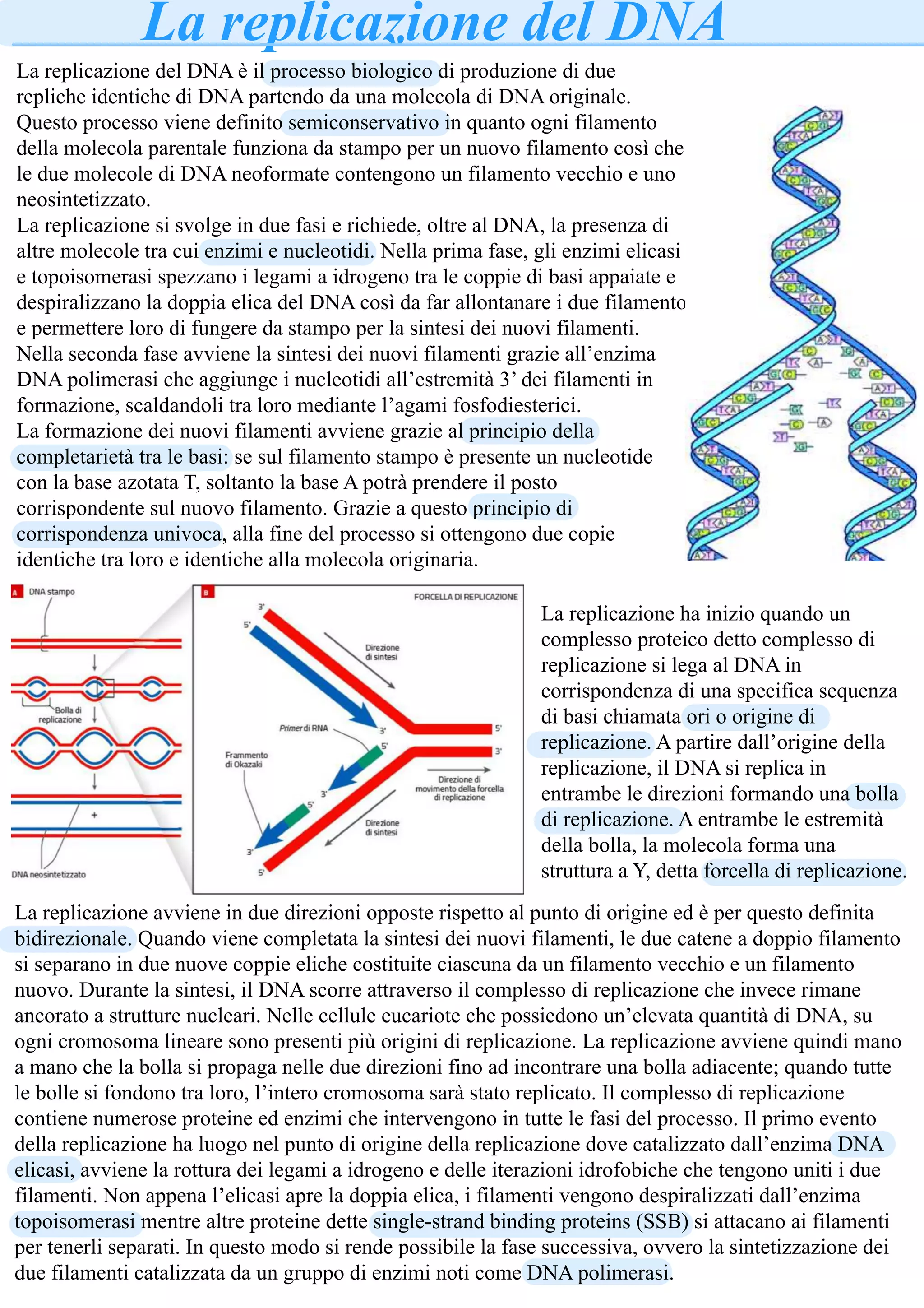 Replicazione del dna | PDF