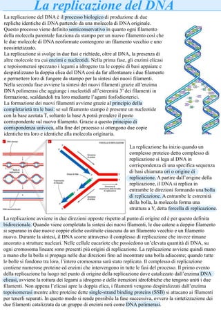 Replicazione del dna | PDF