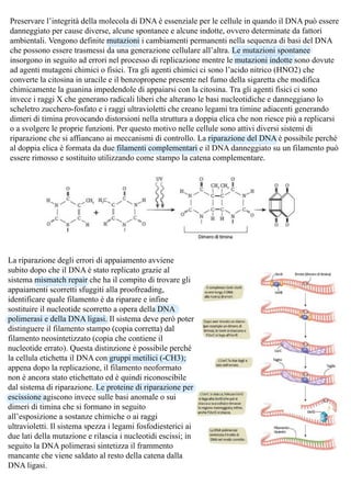 Replicazione del dna | PDF