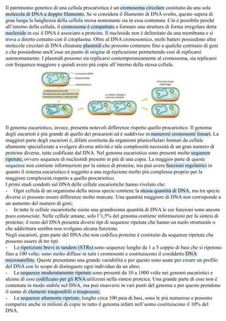 Replicazione del dna | PDF