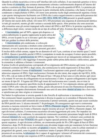 Replicazione del dna | PDF