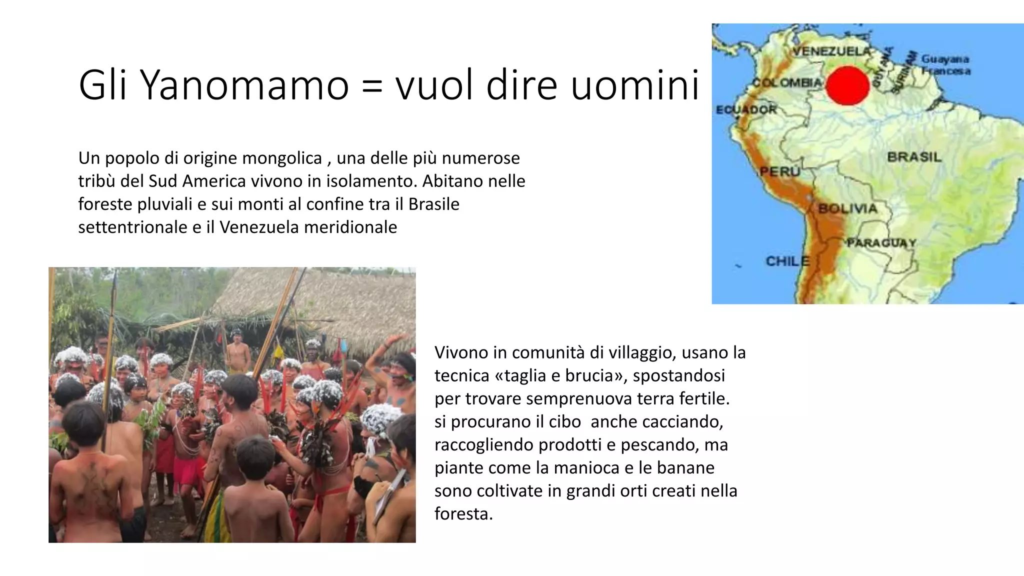 scienze umane Gli Yanomamo.pptx | Free Download