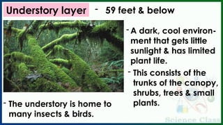 Science 6 Ecosystem and its Meaning.pptx