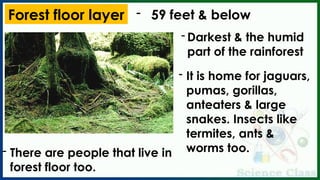 Science 6 Ecosystem and its Meaning.pptx