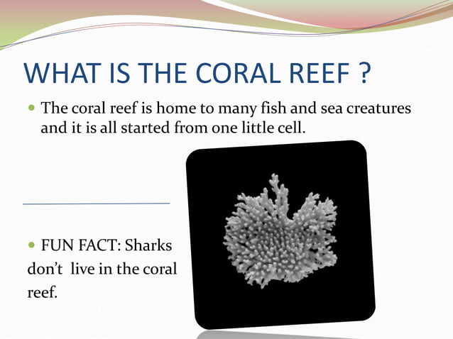 Coral Reef | PPT
