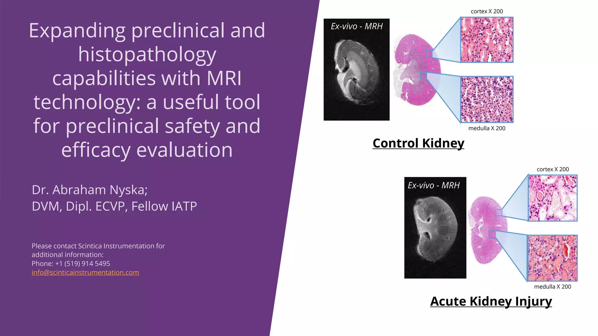 Expanding preclinical and histopathology capabilities with MRI ...