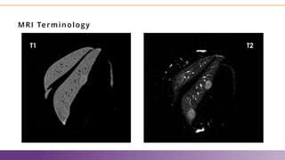 Expanding preclinical and histopathology capabilities with MRI ...