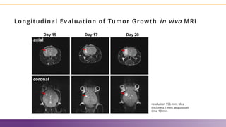 Expanding preclinical and histopathology capabilities with MRI ...