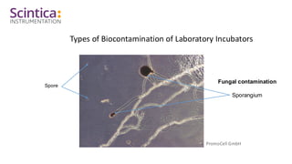Lab Incubator Decontamination: WHY, WHEN and HOW | PPT