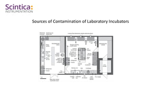 Lab Incubator Decontamination: WHY, WHEN and HOW | PPT