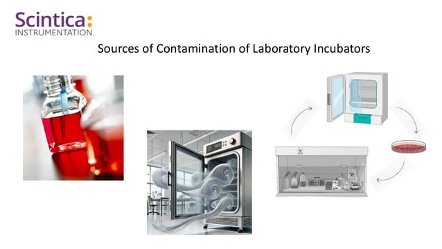 Lab Incubator Decontamination: WHY, WHEN and HOW | PPT