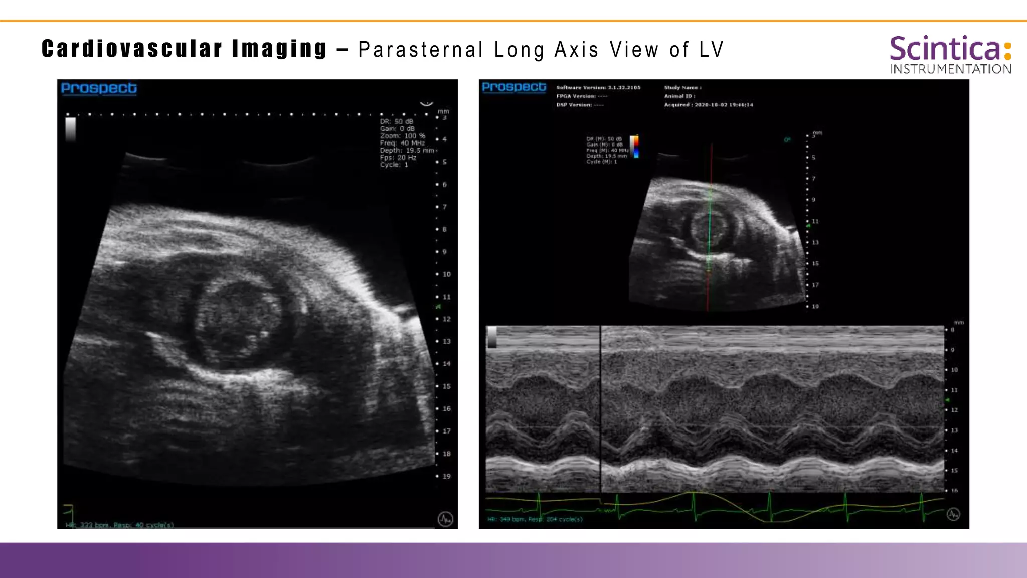 LIVE DEMONSTRATION: Understanding the Complimentary Nature of BLI ...