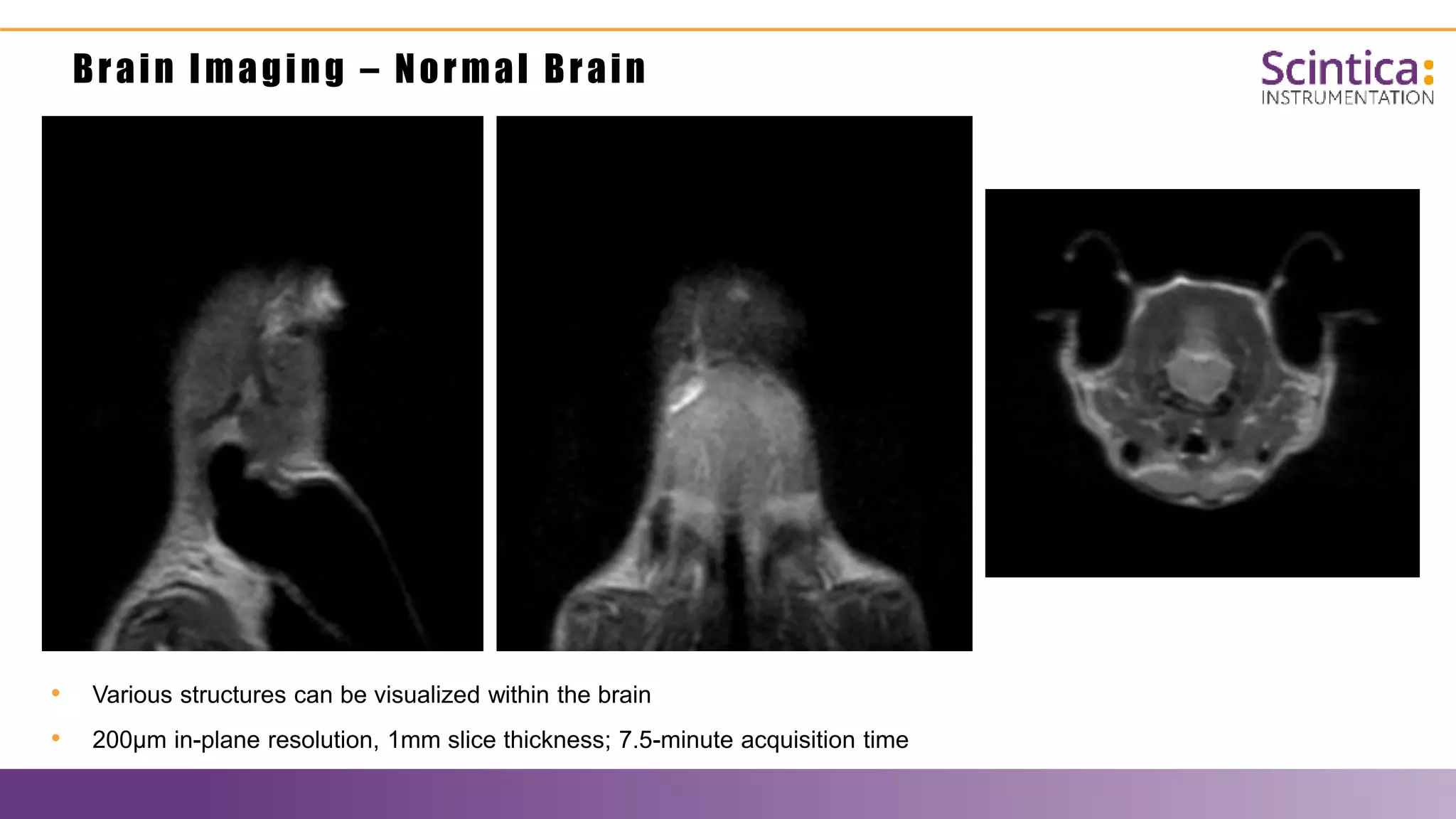 LIVE DEMONSTRATION: Understanding the Complimentary Nature of BLI ...