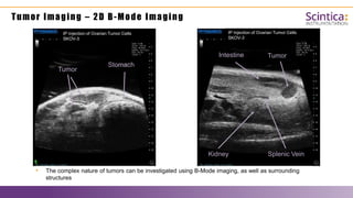 LIVE DEMONSTRATION: Understanding the Complimentary Nature of BLI ...