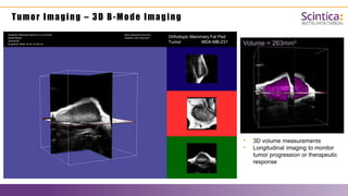 LIVE DEMONSTRATION: Understanding the Complimentary Nature of BLI ...