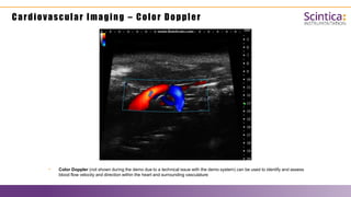 LIVE DEMONSTRATION: Understanding the Complimentary Nature of BLI ...