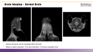 LIVE DEMONSTRATION: Understanding the Complimentary Nature of BLI ...