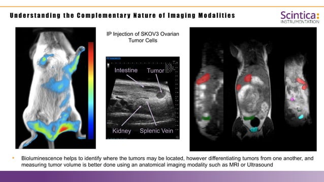 LIVE DEMONSTRATION: Understanding the Complimentary Nature of BLI ...