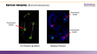 LIVE DEMONSTRATION: Understanding the Complimentary Nature of BLI ...