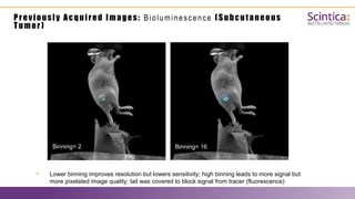 LIVE DEMONSTRATION: Understanding the Complimentary Nature of BLI ...