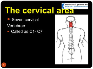 Spinal Injury Overview | PPT