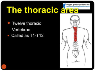 Spinal Injury Overview | PPT