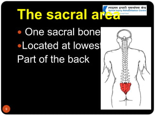Spinal Injury Overview | PPTX