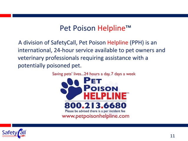 SafetyCall International | PPT