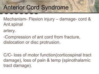 Spinal cord injury | PPT