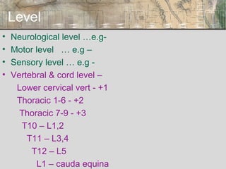 Spinal cord injury | PPT