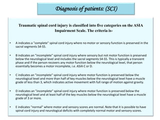 circadian rhythm in Spinal cord injuries | PPT