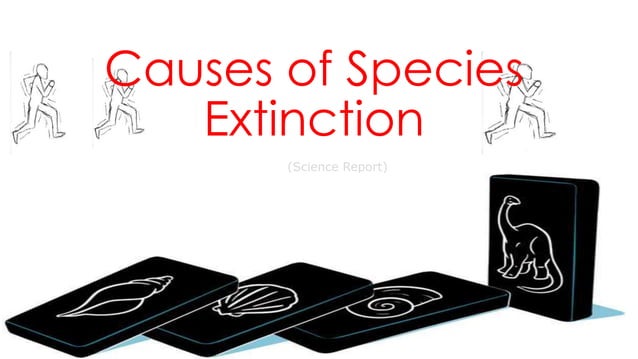 Causes of extinction | PPTX | Environment | Science