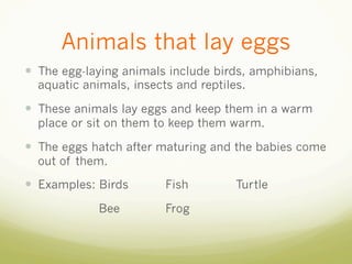 Reproduction in animals- Science | PDF | Reptiles | Pets