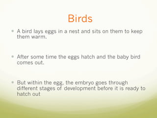 Reproduction in animals- Science | PDF