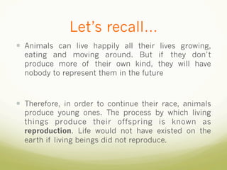 Reproduction in animals- Science | PDF | Reptiles | Pets