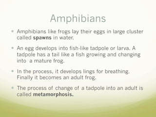 Reproduction in animals- Science | PDF | Reptiles | Pets