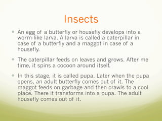 Reproduction in animals- Science | PDF | Reptiles | Pets