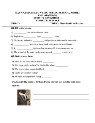 Sci std iv birds activity | PDF