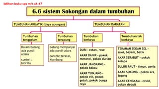 sains kssm tingkatan 4 bab 6 RANGKA DAN SOKONGAN.ppt